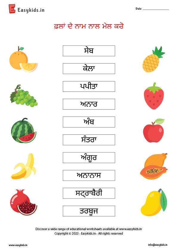 Match Fruits Name In Punjabi EasyKids in