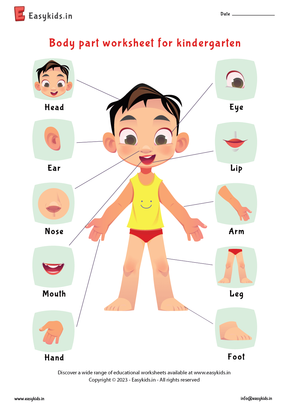 Parts Of Body Easykids In Vrogue co
