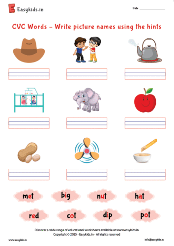 Singular and plural worksheet - EasyKids.in